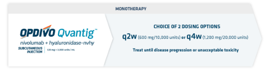 OPDIVO® (nivolumab) Efficacy in Previously Treated Metastatic NSCLC