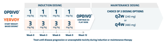 OPDIVO® (nivolumab) + YERVOY® (ipilimumab) Efficacy in Metastatic Melanoma