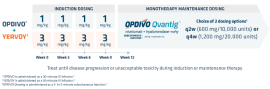 OPDIVO® (nivolumab) + YERVOY® (ipilimumab) Efficacy in Metastatic Melanoma
