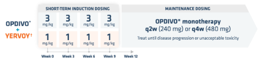 OPDIVO® (nivolumab) + YERVOY® (ipilimumab) Efficacy in aRCC