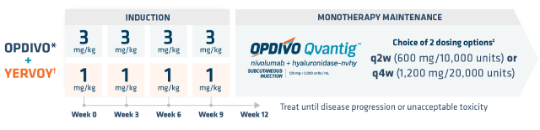 OPDIVO® (nivolumab) + YERVOY® (ipilimumab) Efficacy in aRCC