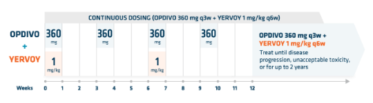 OPDIVO® (nivolumab) + YERVOY® (ipilimumab) Efficacy Data for mNSCLC