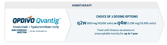 Checkmate 76K & Checkmate 238 Efficacy Data | OPDIVO® (nivolumab)
