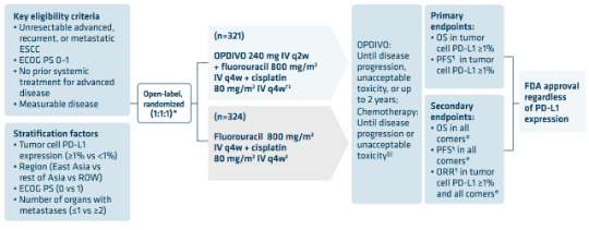 OPDIVO® (nivolumab) + Chemo Checkmate 649 & Checkmate 648 Efficacy Data ...