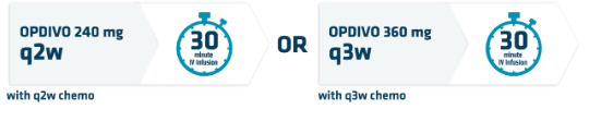 OPDIVO® (nivolumab) + Chemo Checkmate 649 & Checkmate 648 Efficacy Data ...