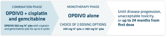 OPDIVO® (nivolumab) Efficacy Data for 1L Treatment of Metastatic UC
