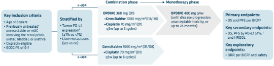 OPDIVO® (nivolumab) Efficacy Data for 1L Treatment of Metastatic UC