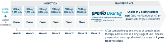 OPDIVO® (nivolumab) Efficacy Data for 1L Treatment of Metastatic UC