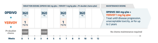 OPDIVO® (nivolumab) + YERVOY® (ipilimumab) + Chemo Efficacy Data for NSCLC