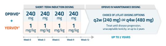 Efficacy in Colorectal Cancer (CRC) | OPDIVO® (nivolumab) + YERVOY® (ipilimumab)