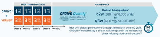 Efficacy in Hepatocellular Carcinoma (HCC) | OPDIVO® (nivolumab ...