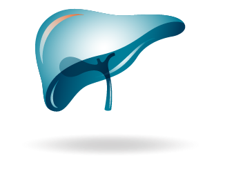 Safety Profile for Hepatocellular Carcinoma (HCC) | OPDIVO® (nivolumab)