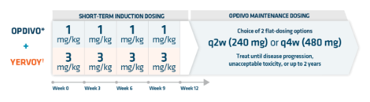 Efficacy in Hepatocellular Carcinoma (HCC) | OPDIVO® (nivolumab ...