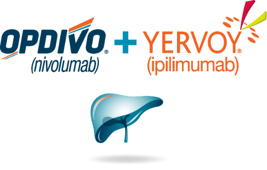 Safety Profile in Hepatocellular Carcinoma (HCC) | OPDIVO® (nivolumab ...