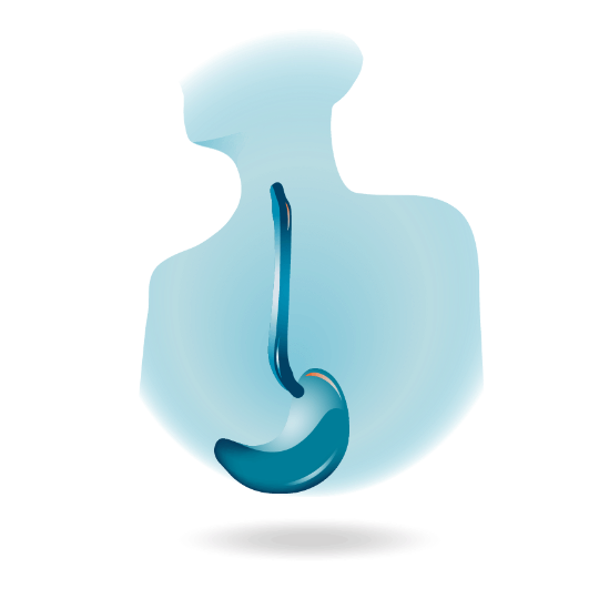 Safety Profile for Gastroesophageal Cancers | OPDIVO® (nivolumab)