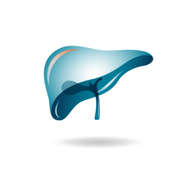 Efficacy Data for Hepatocellular Carcinoma (HCC) | OPDIVO® (nivolumab)
