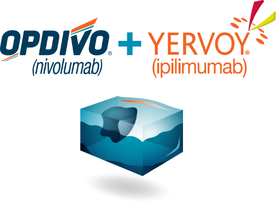 OPDIVO® (nivolumab) + YERVOY® (ipilimumab) Efficacy in Metastatic Melanoma