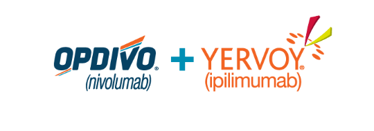 Yervoy Logo Png NBC Nightly News With Lester Holt : KNTV : April 12,