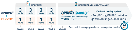 OPDIVO® (nivolumab) + YERVOY® (ipilimumab) Efficacy in aRCC